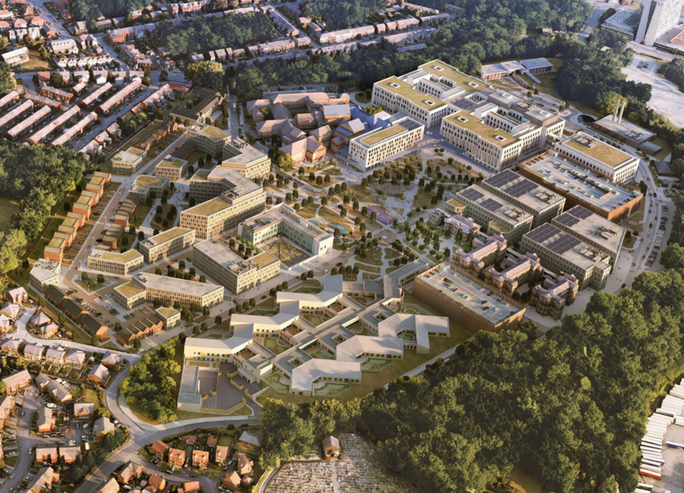 Programme, Cost and Project Management Experts | Hive Projects